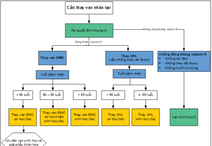 Tổng quan các vấn đề tim mạch học | Tim mạch học | Hội Tim mạch học ...